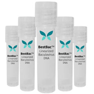 158167ES_BestBac_Linearized_DNA_Tubes_Lineup - Expression Systems