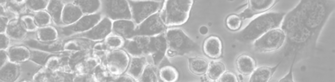 ES_PC_Header_Cells - Expression Systems